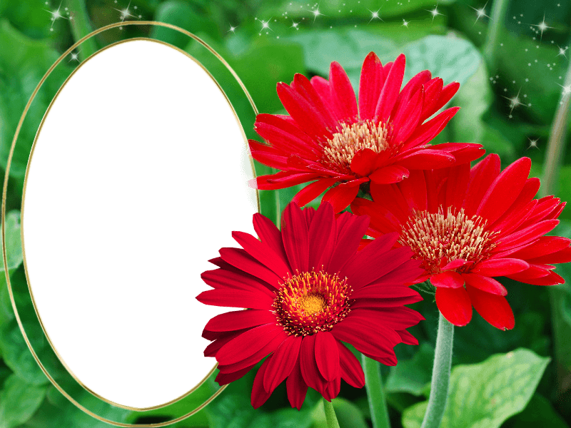 Webka Photo Frames: Online App for Free